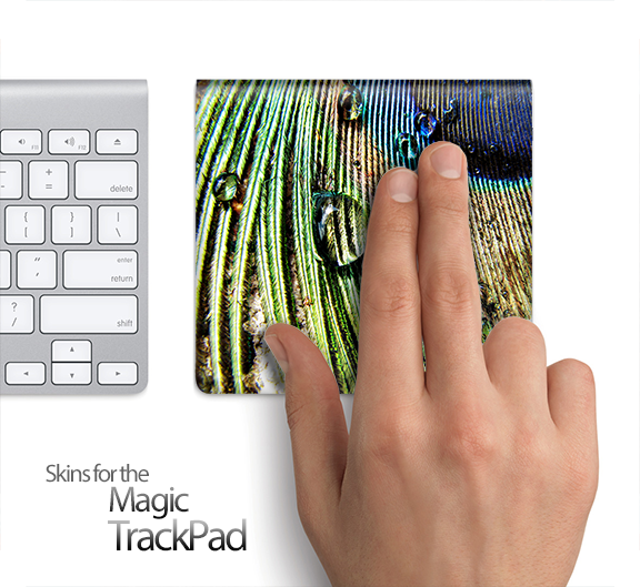 Wet Neon Peacock 2 Skin for the Apple Magic Trackpad – DesignSkinz